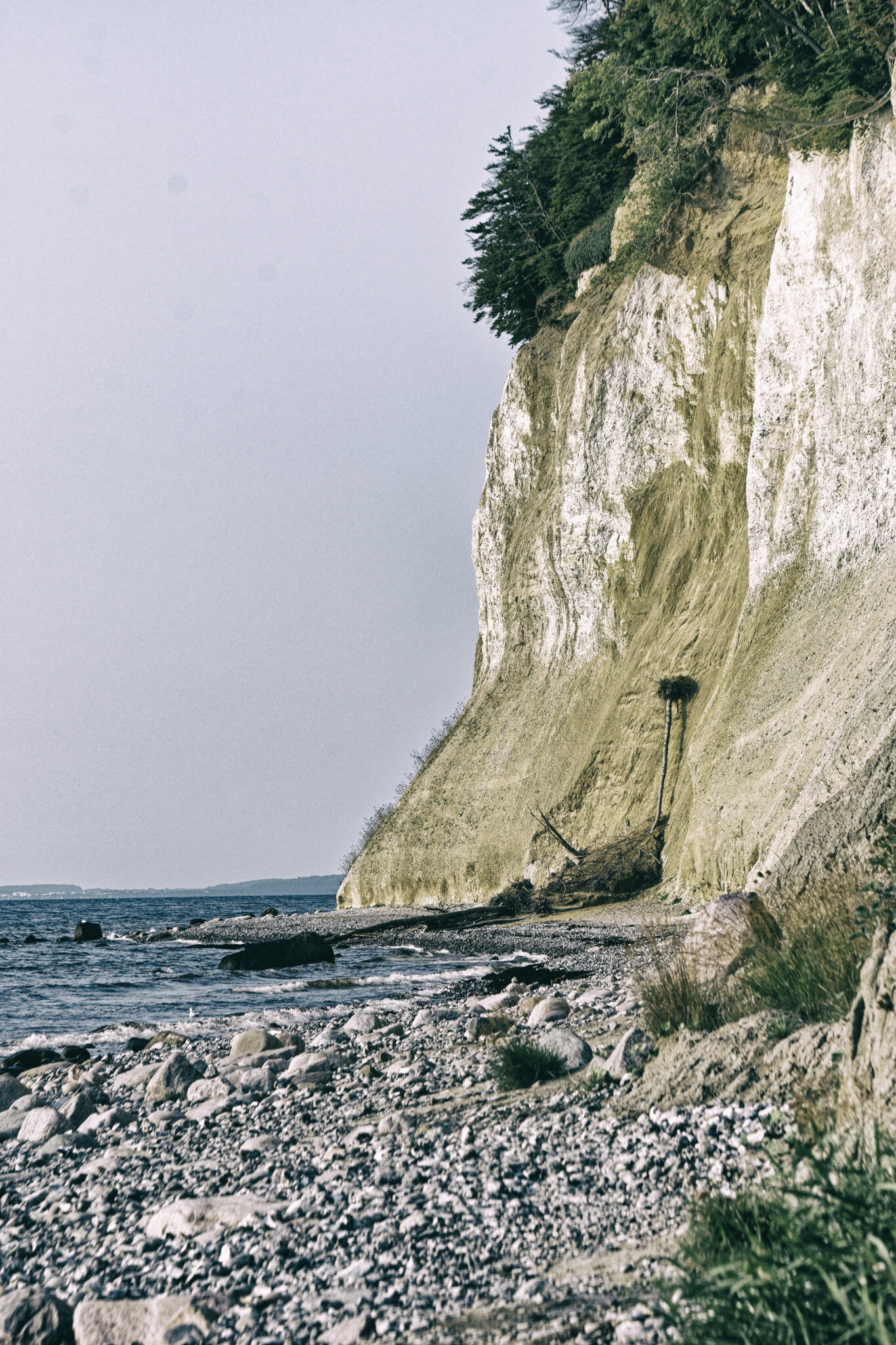 Fototour: Am Morgen unterwegs an den Kreidefelsen nördlich von Sassnitz ...